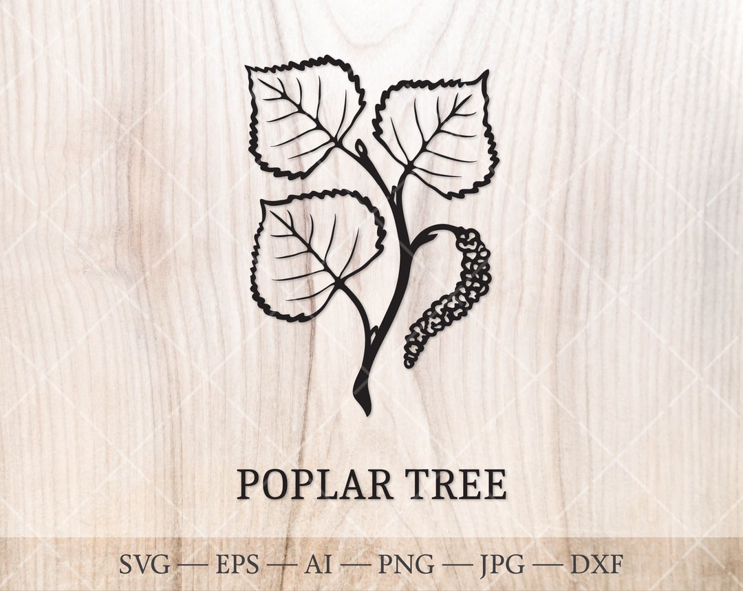 Poplar Tree SVG. Birth Trees SVG. Birth Month Tree Outline Drawing ...
