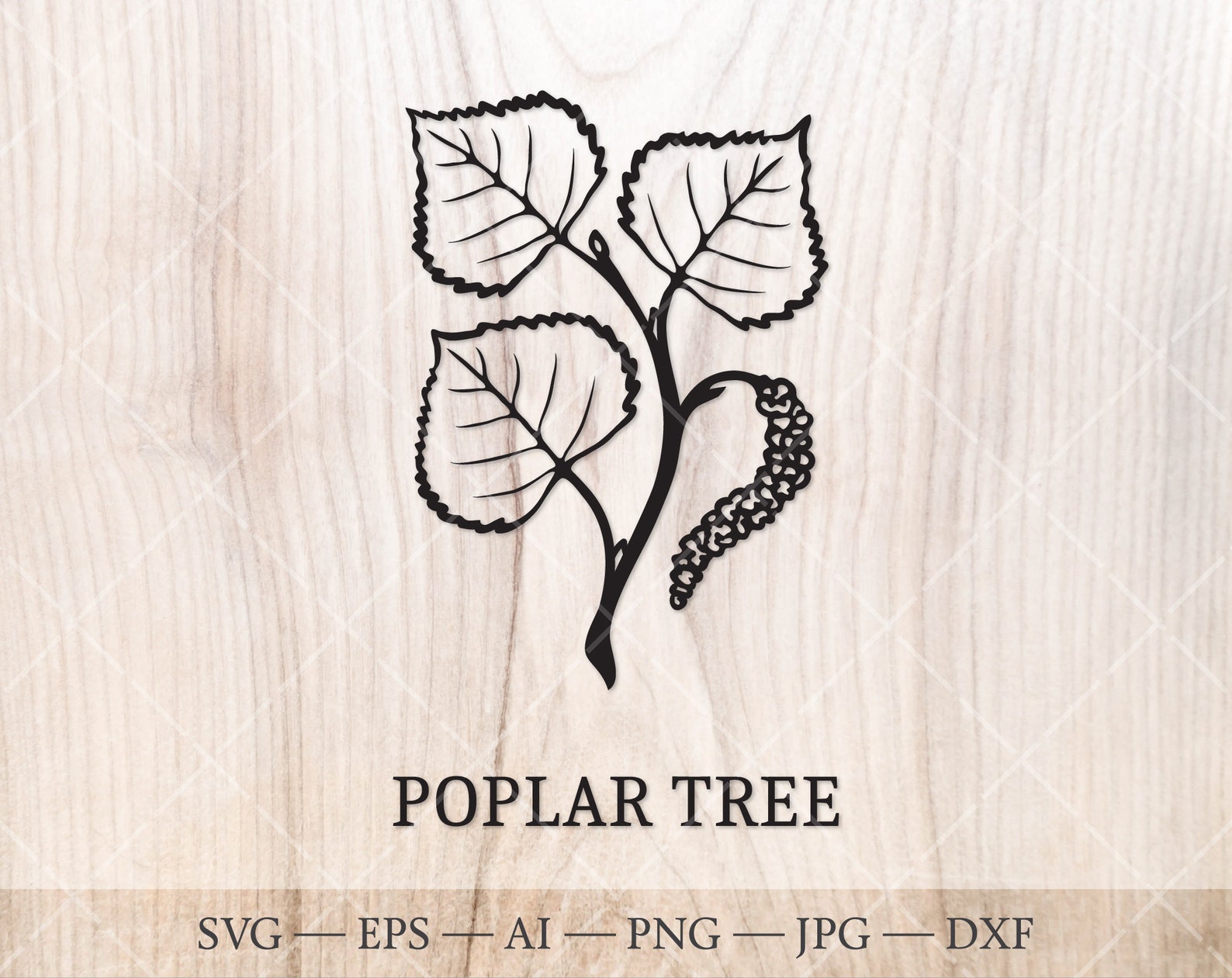 Poplar Tree SVG. Birth Trees SVG. Birth Month Tree Outline - Etsy