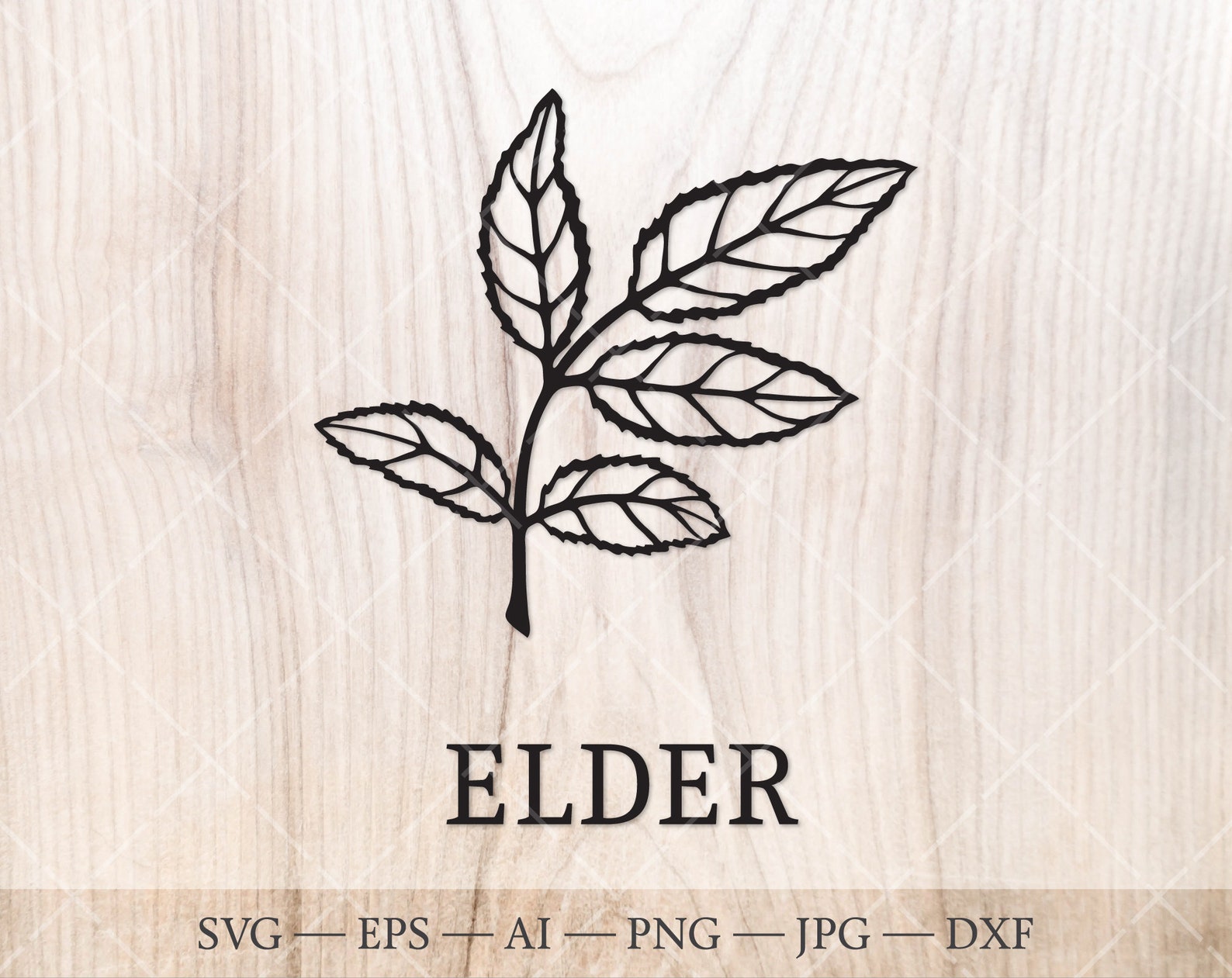 Celtic Tree Calendar SVG. 13 Birth Tree Leaves SVG. Birth Month Tree ...