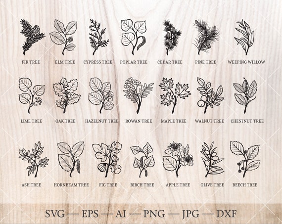 Birth Trees SVG Bundle. 21 Birth Month Tree Outline Drawings. - Etsy