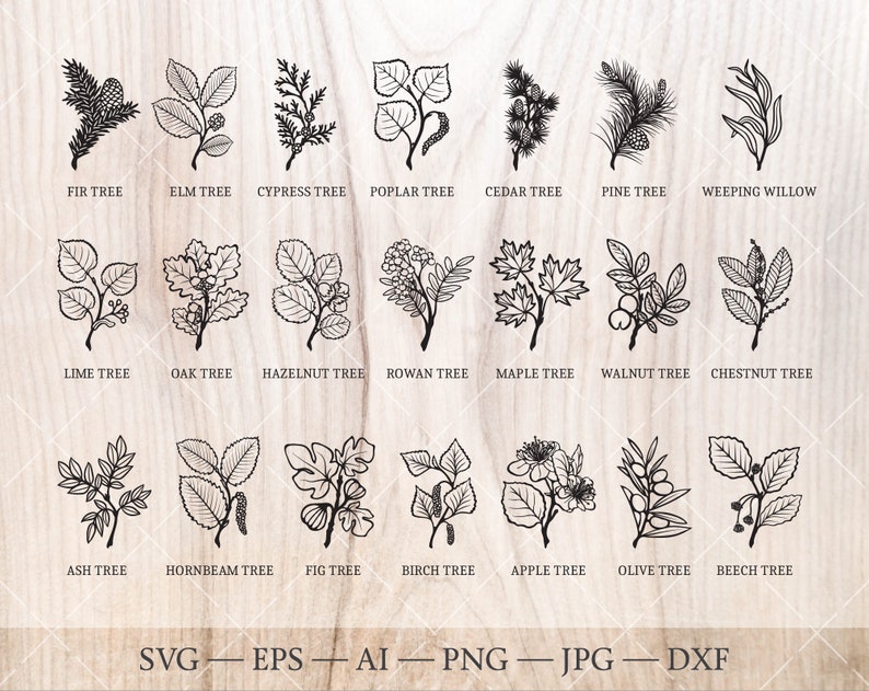 Birth Trees SVG Bundle. 21 Birth Month Tree Outline Drawings. - Etsy