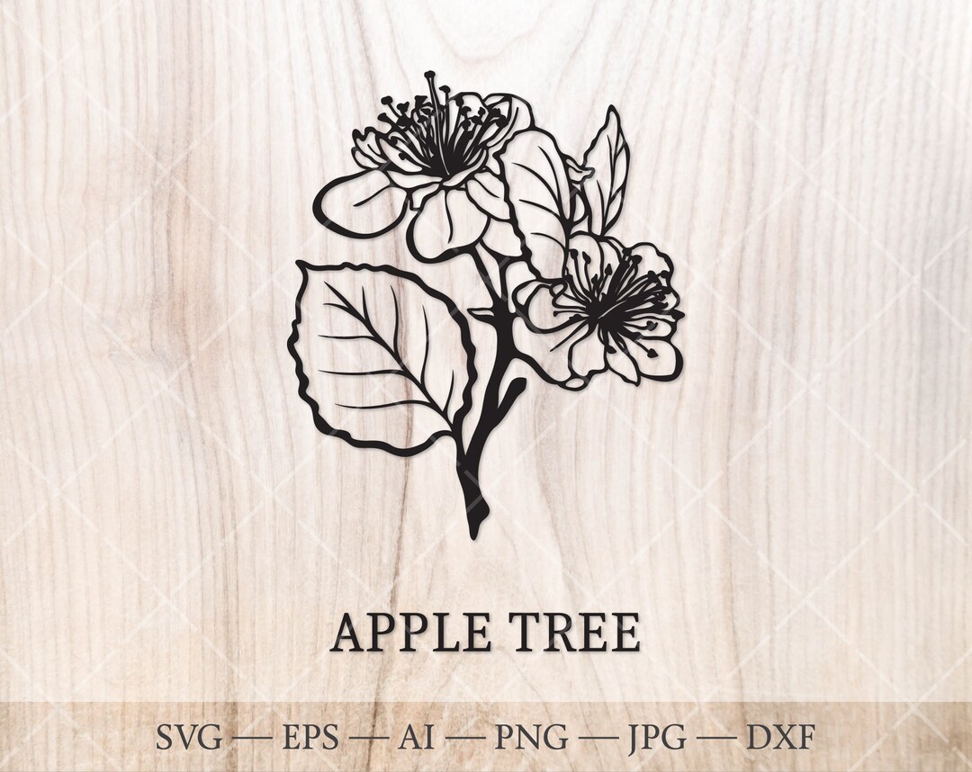 Apple Tree SVG. Birth Trees SVG. Birth Month Tree Outline Drawing ...
