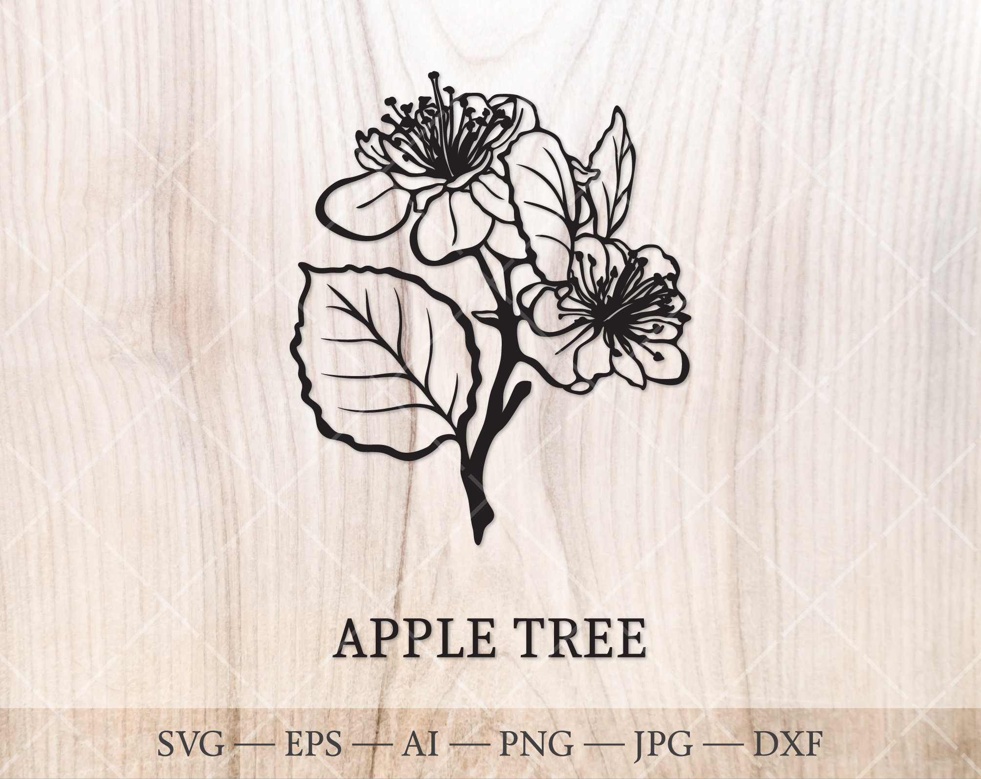 Flowering Apple Tree Drawing