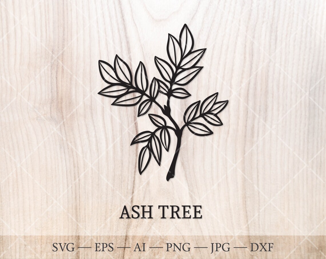 Ash Tree SVG. Birth Trees SVG. Birth Month Tree Outline Drawing ...