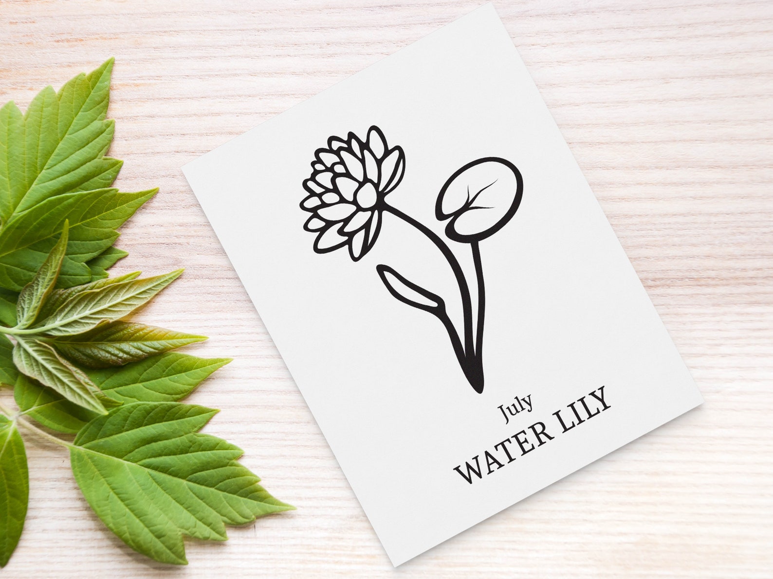 Waterlelie SVG, juli geboorte bloem SVG. Geboortemaand bloem waterlelie ...