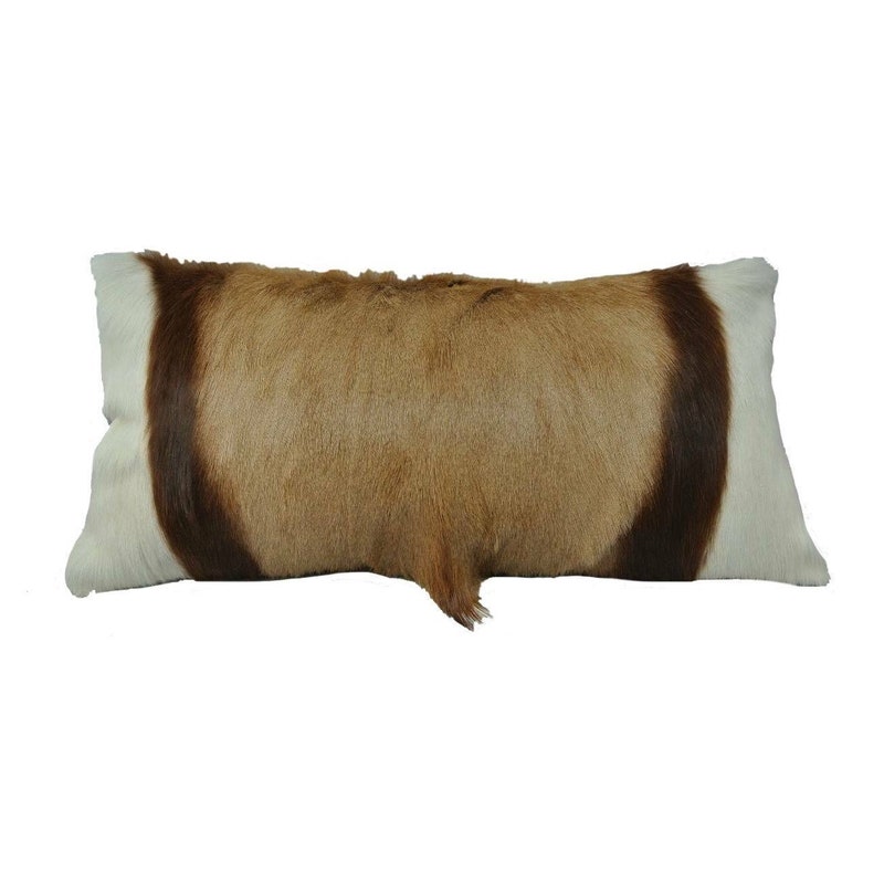 Springbok Hide - Etsy