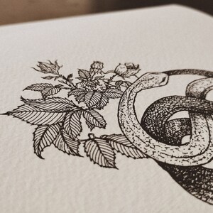 Floral Auryn Artprint A5 - Neverending Story Auryn Print, Ink Drawing ...
