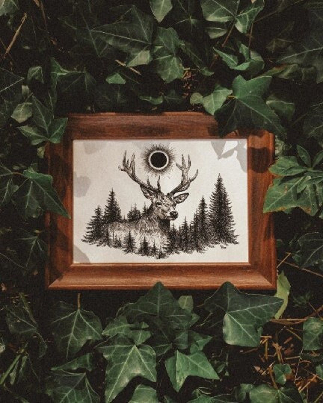 Splendor Solis the Dark Sun Printable Digital Files for Custom Prints ...