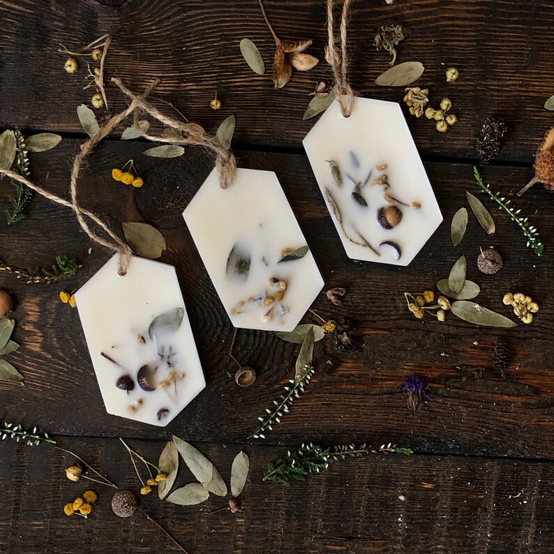 Forest Wax Melt SET Scented Wax Tart Set Pine Forest Air - Etsy