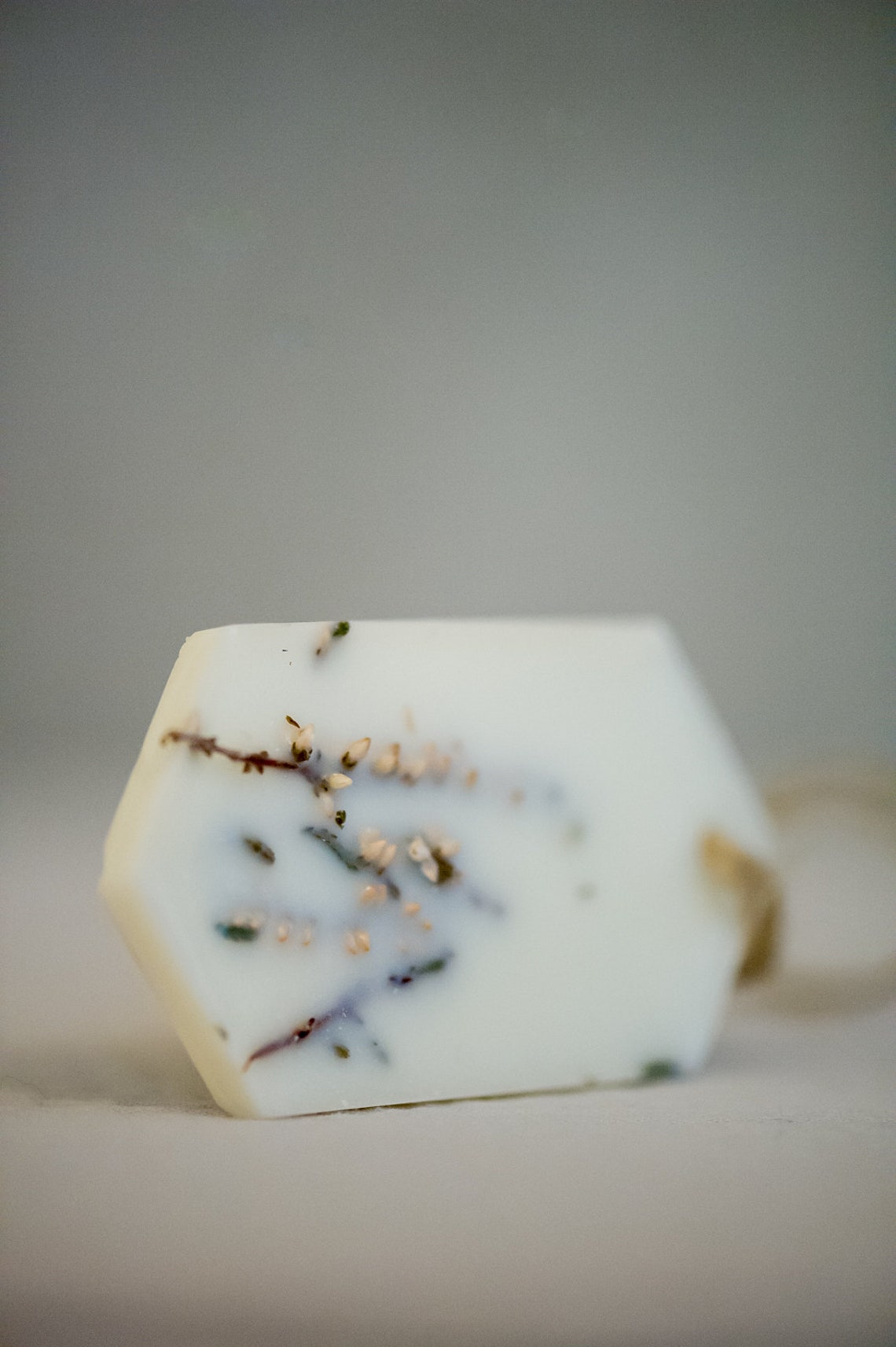 Forest Wax Melt SET Scented Wax Tart Set Pine Forest Air - Etsy