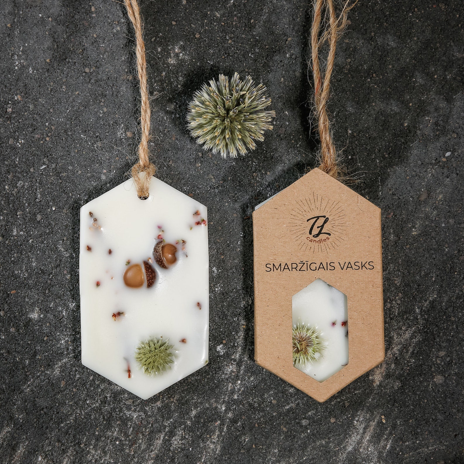 Forest Wax Melt SET Scented Wax Tart Set Pine Forest Air - Etsy