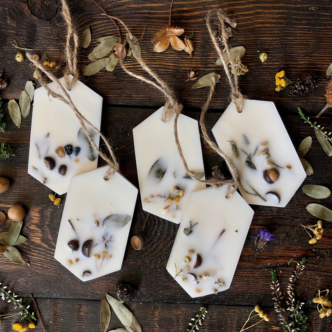 Forest Wax Melt SET Scented wax tart set Pine forest air | Etsy