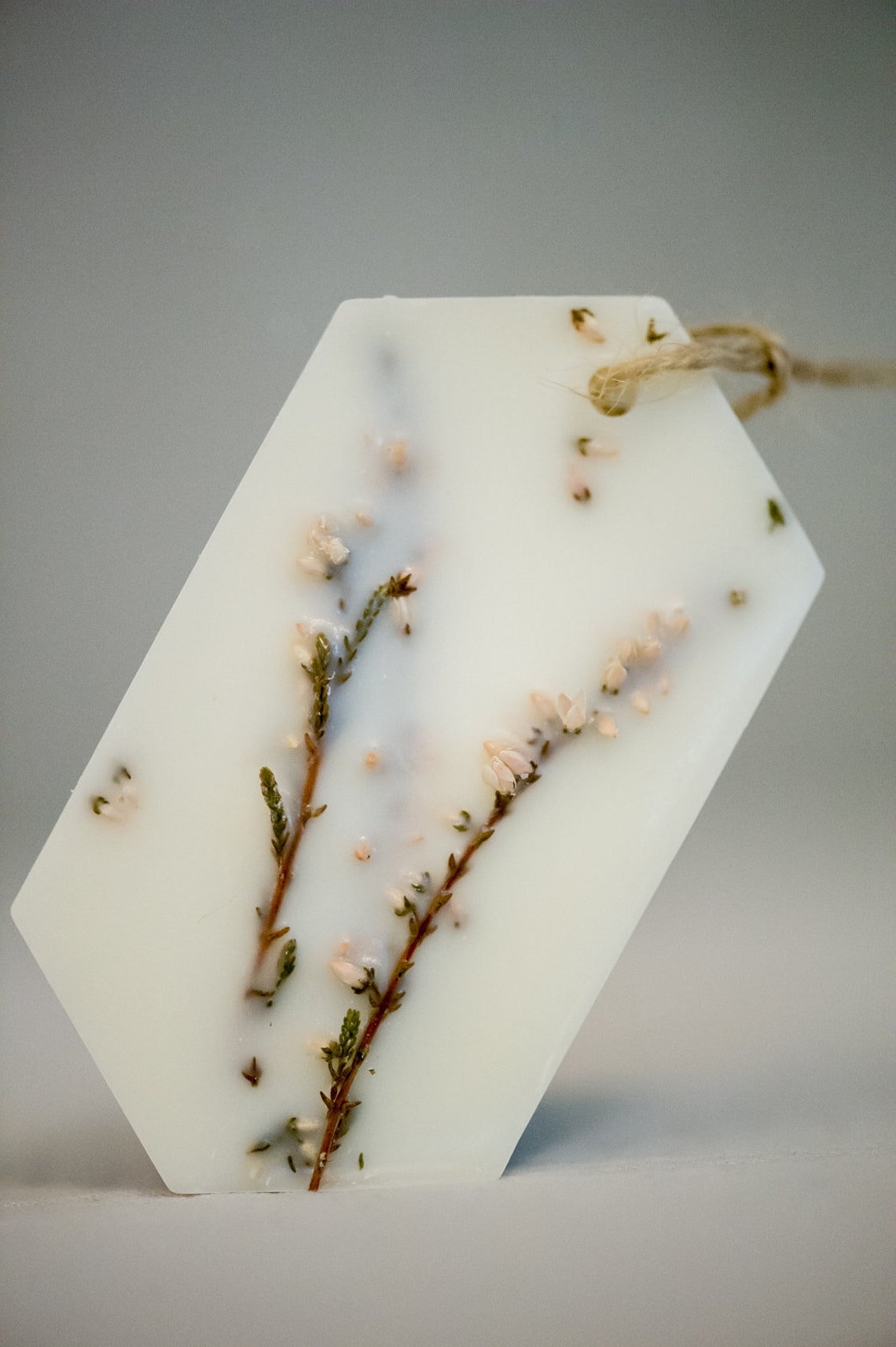 Forest Wax Melt SET Scented Wax Tart Set Pine Forest Air - Etsy