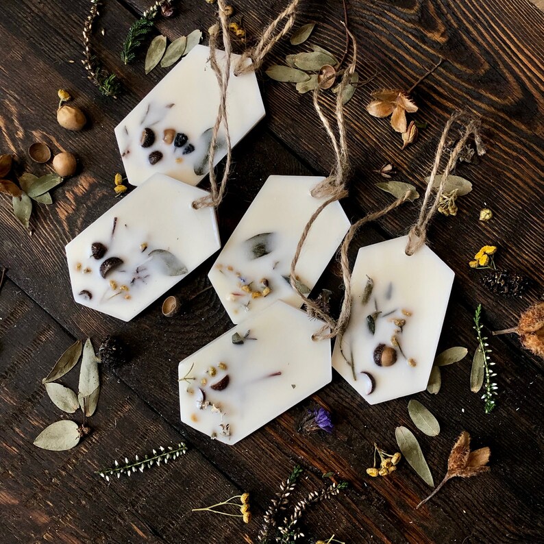 Forest Wax Melt SET Scented Wax Tart Set Pine Forest Air - Etsy