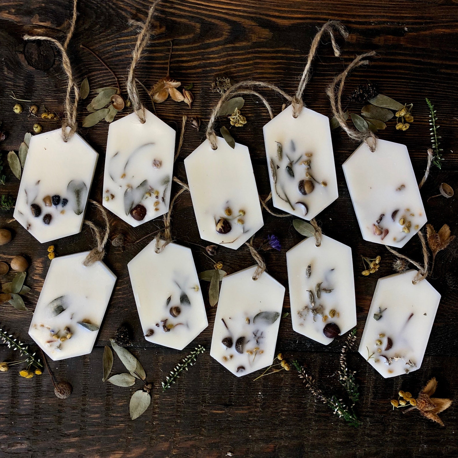 Forest Wax Melt SET Scented Wax Tart Set Pine Forest Air - Etsy