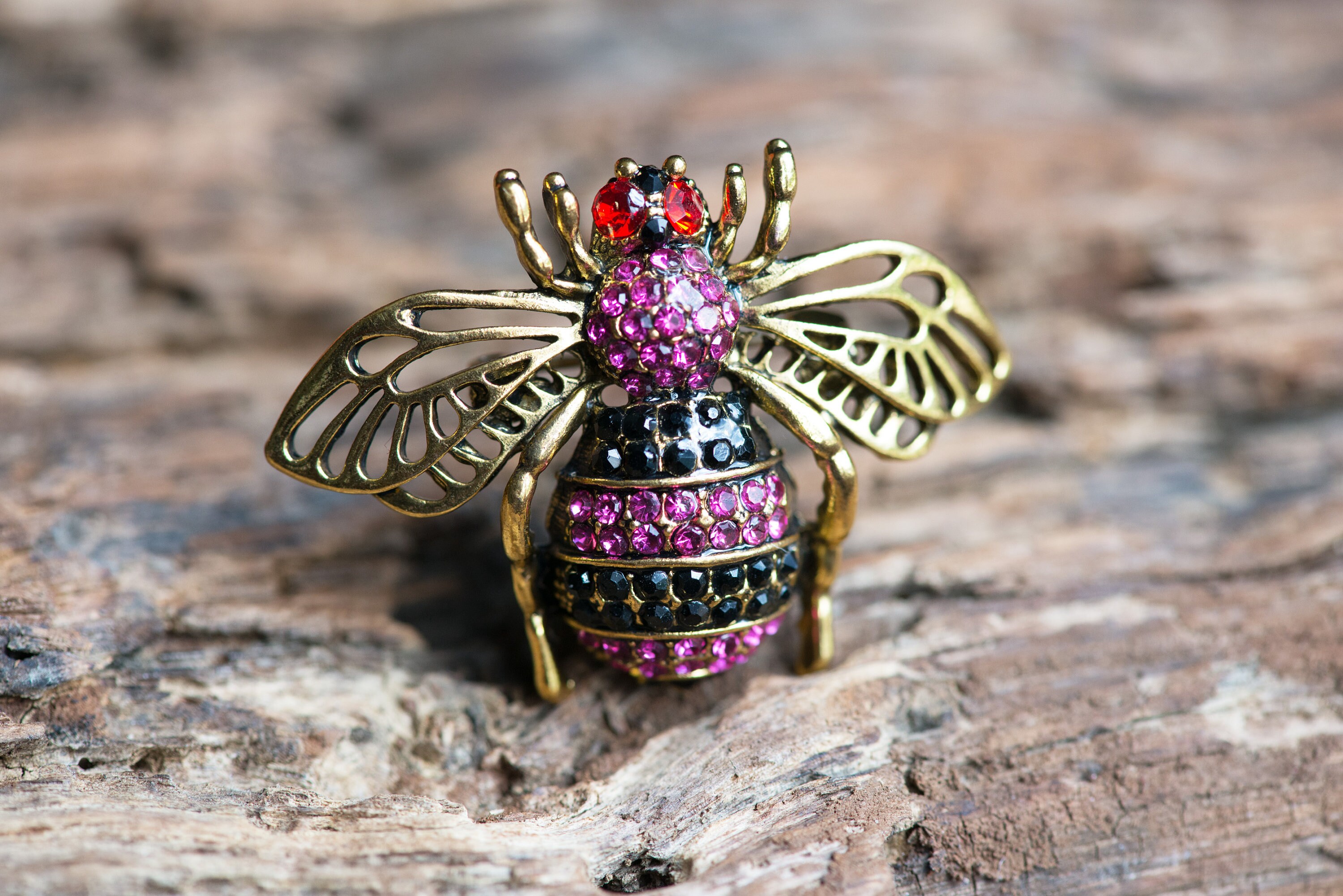 Vintage Real Insect Jewelry