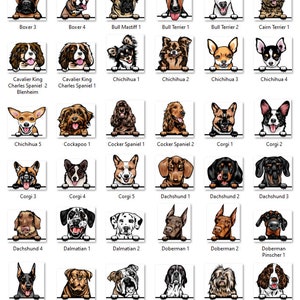 Baby Shower Gift, New Best Friend Dog, Custom Pet, Personalized Dog ...