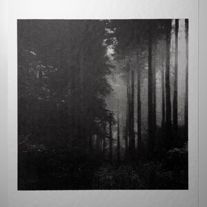 Pen Plotter Ink Drawing | Abstract Artwork of a Forest | Unique Black ...