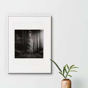 Pen Plotter Ink Drawing | Abstract Artwork of a Forest | Unique Black ...
