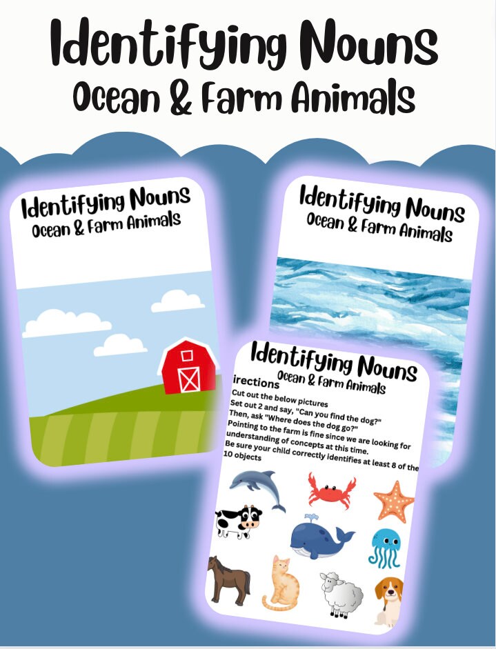 Identifying Nouns Receptive Language Less Than 3 Years of Age - Etsy