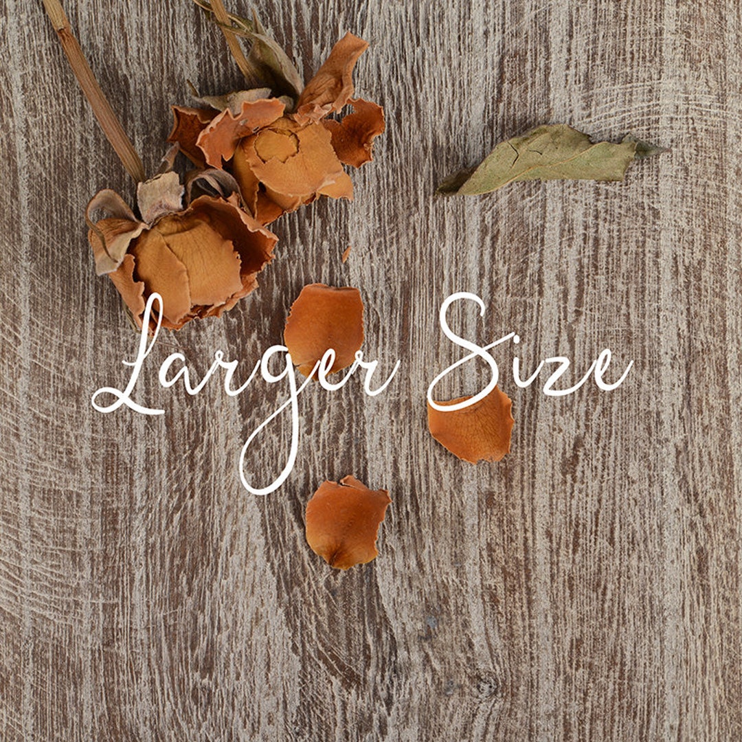 Larger Size Upgrade - Etsy