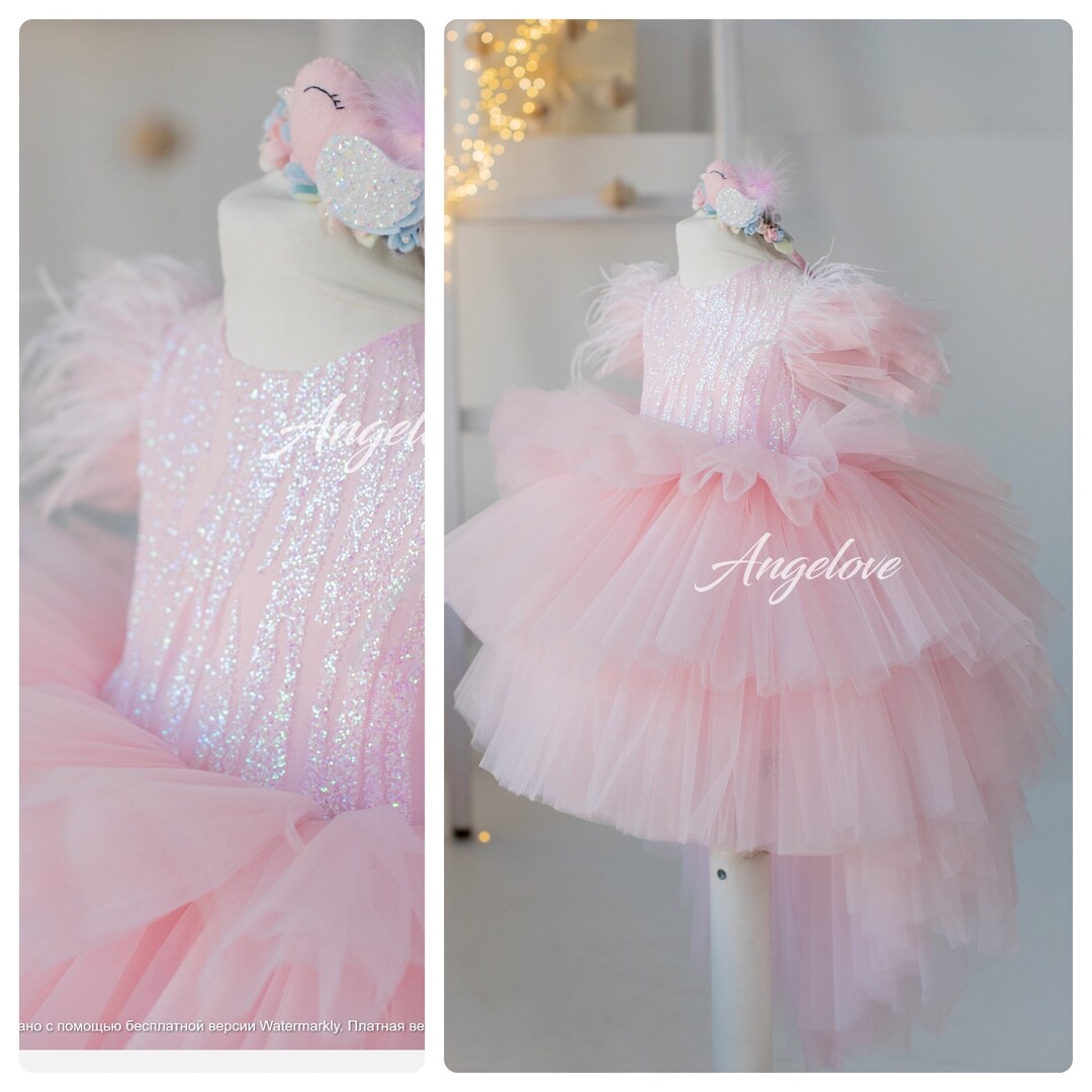 Birthday First Dress Train, Shine Pageant Outfit Babygirl, Special ...