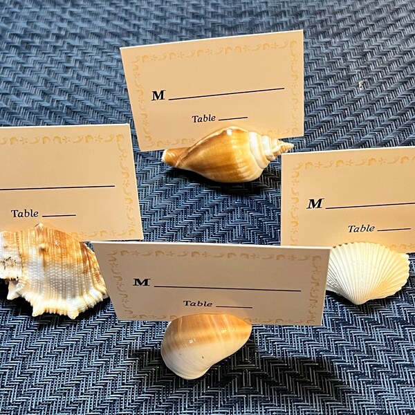Sea Shell Place Card - Etsy