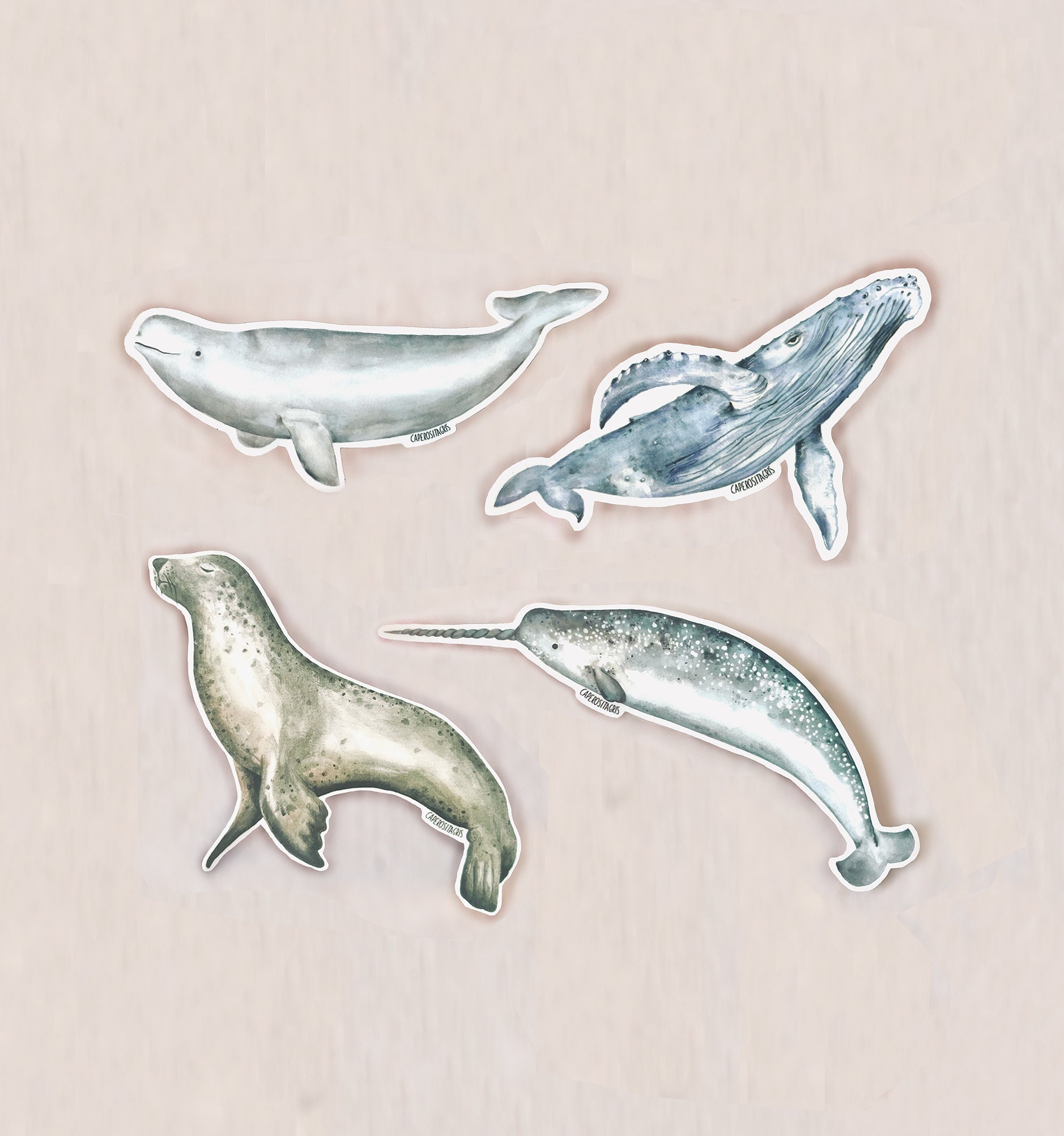 Stickers, Beluga Whale Sticker, Narwhal Sticker, Whale Sticker, Seal ...