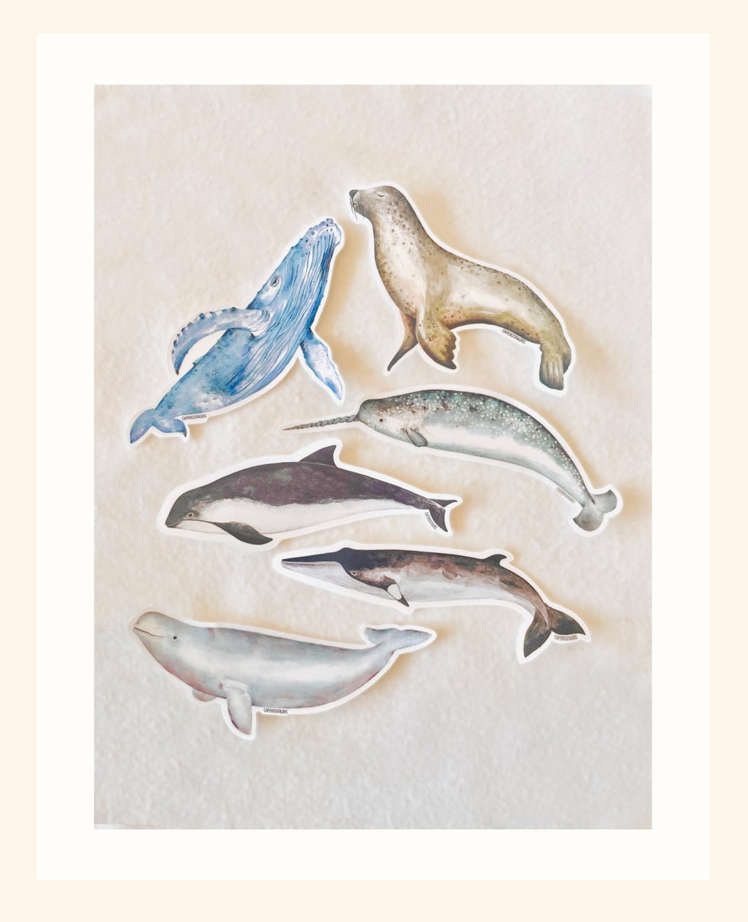 Stickers, Beluga Whale Sticker, Narwhal Sticker, Whale Sticker, Seal ...