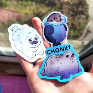 Cute Seal Stickers / Waterproof / Floating Seal Harp Seal Stickers for ...