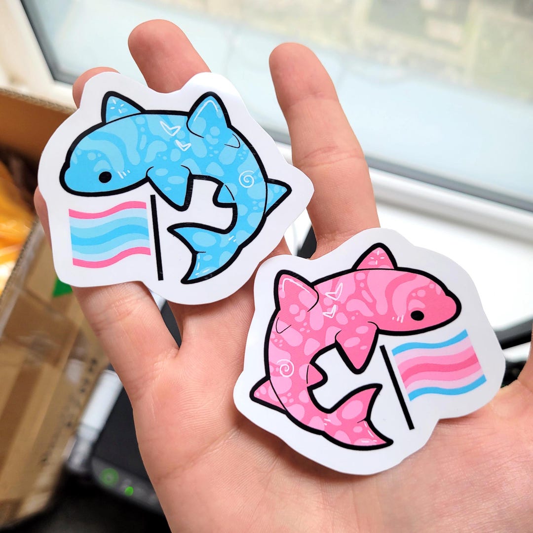 Transmasc Transfem Shark Sticker! / Waterproof / Kawaii Sharky Vinyl ...