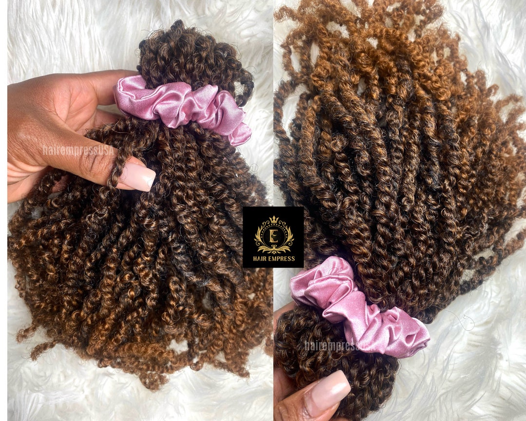 Full Head Prelooped Crochet Mini Twists Ombre Micro Twists. Handmade Crochet Twists Color (165 ...