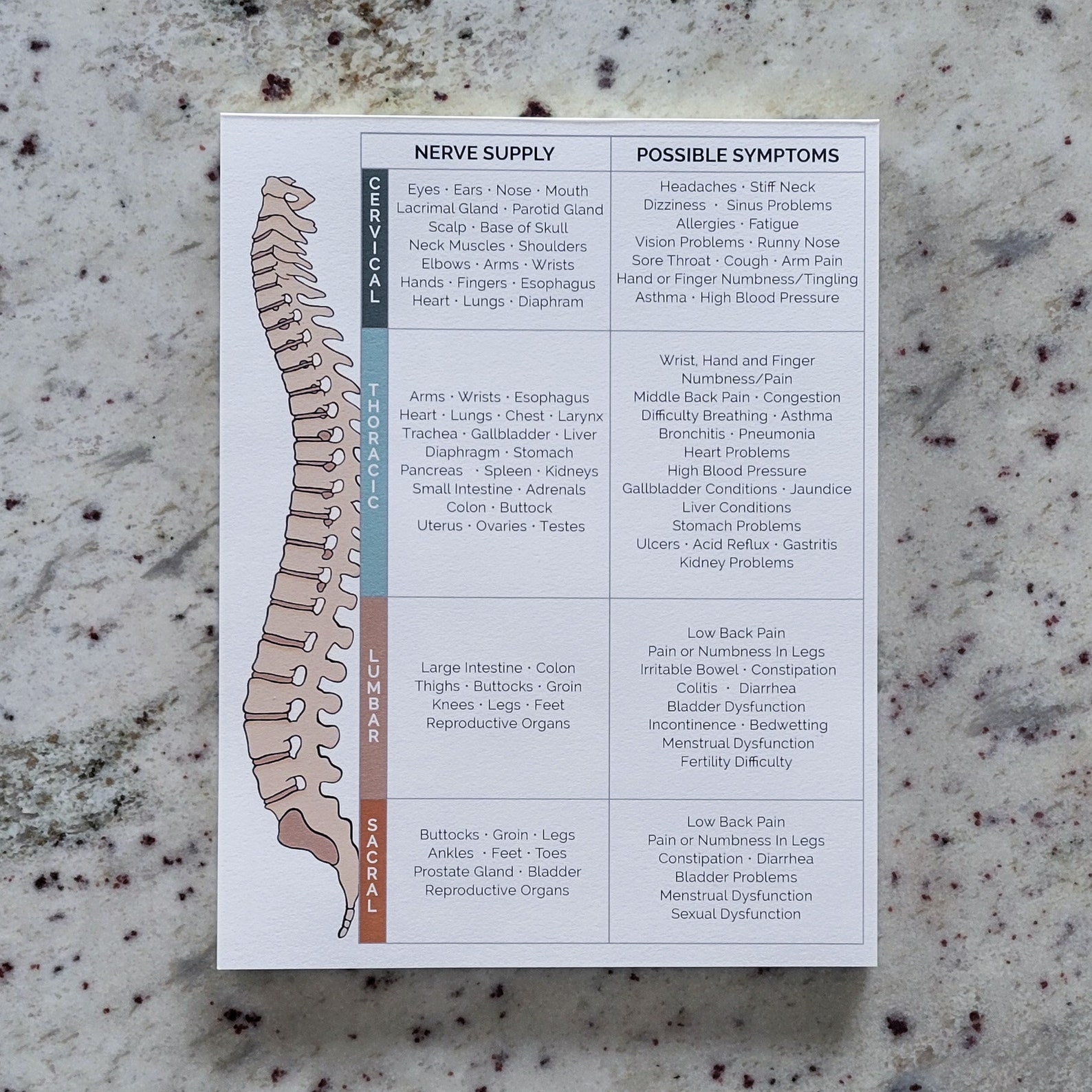 ROF Patient Handout Digital Download | Report of Findings | Spinal ...