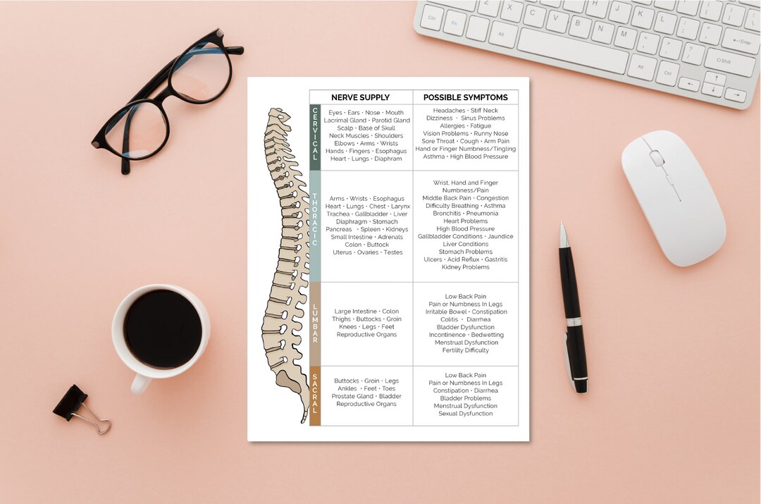 ROF Patient Handout | Chiropractic Report of Findings | Spinal Nerve ...