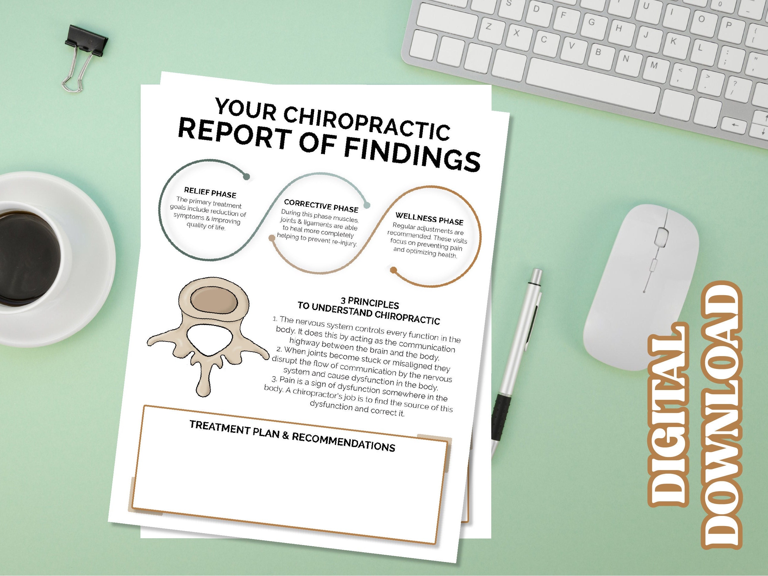 ROF Patient Handout Digital Download | Chiropractic Report of Findings ...