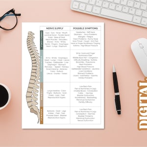 ROF Patient Handout Digital Download | Report of Findings | Spinal ...