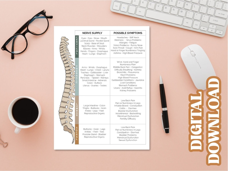 ROF Patient Handout Digital Download | Report of Findings | Spinal ...