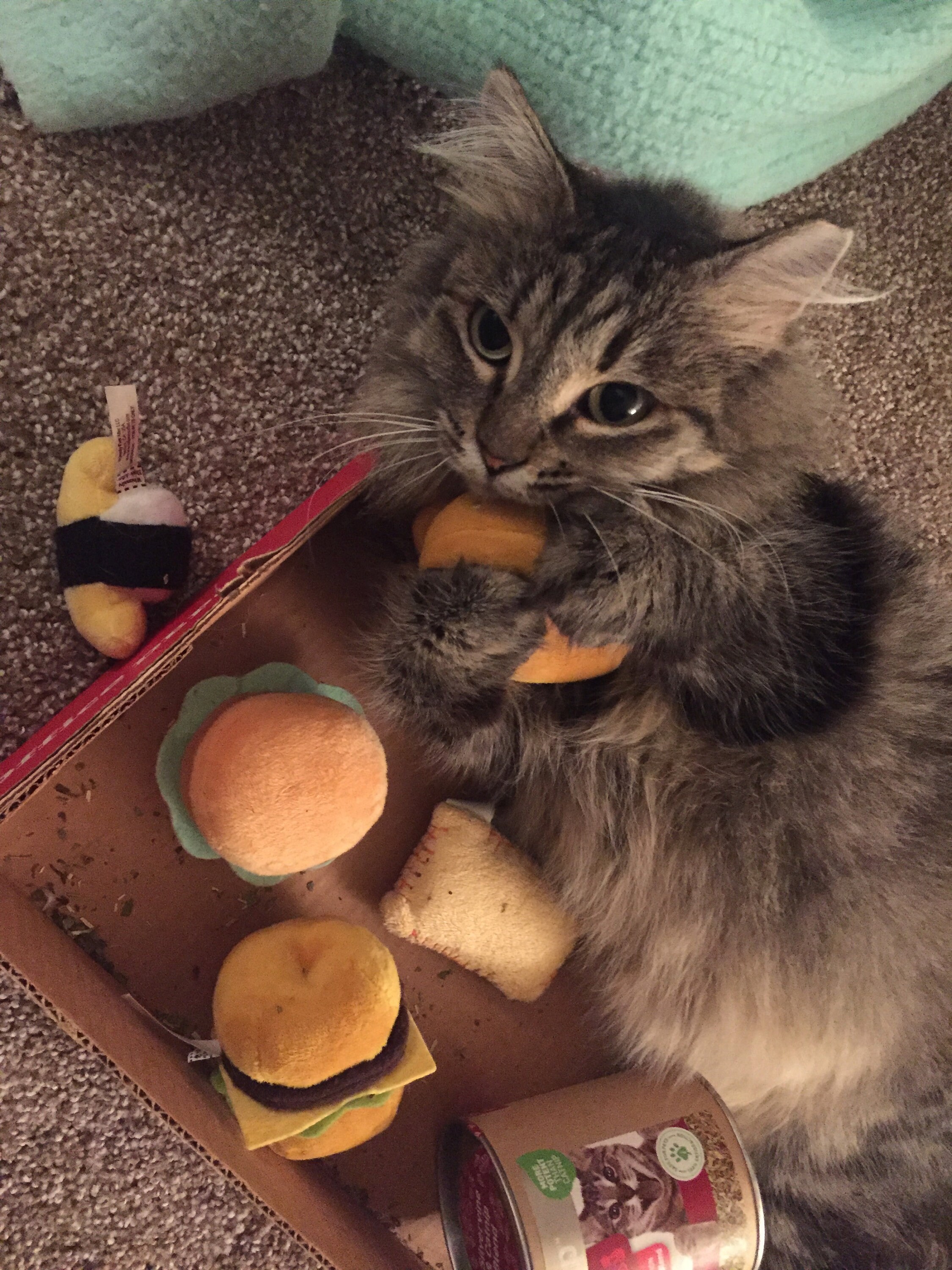 Stuff for Your CAT 5 Item Blind Bag | Etsy