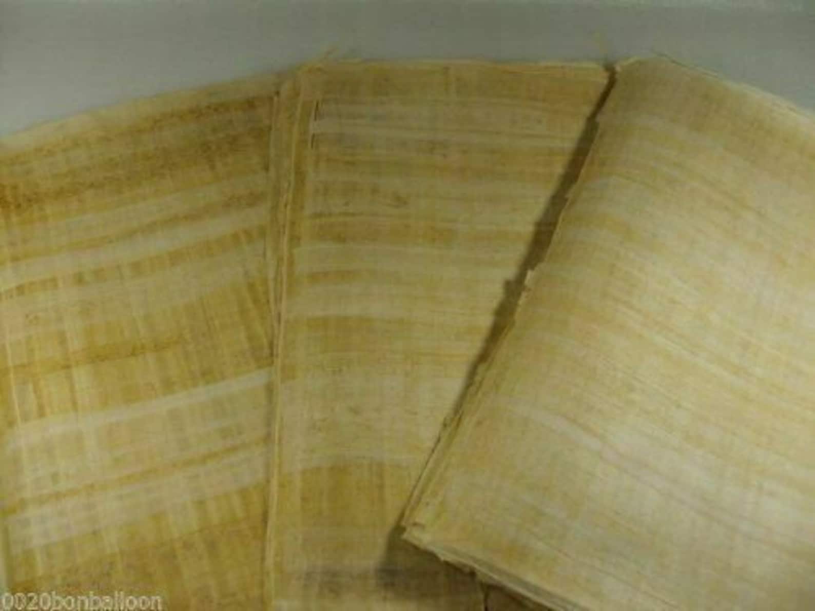 20 Blank Egyptian Papyrus Sheets for Art Projects and Schools 13x17in ...