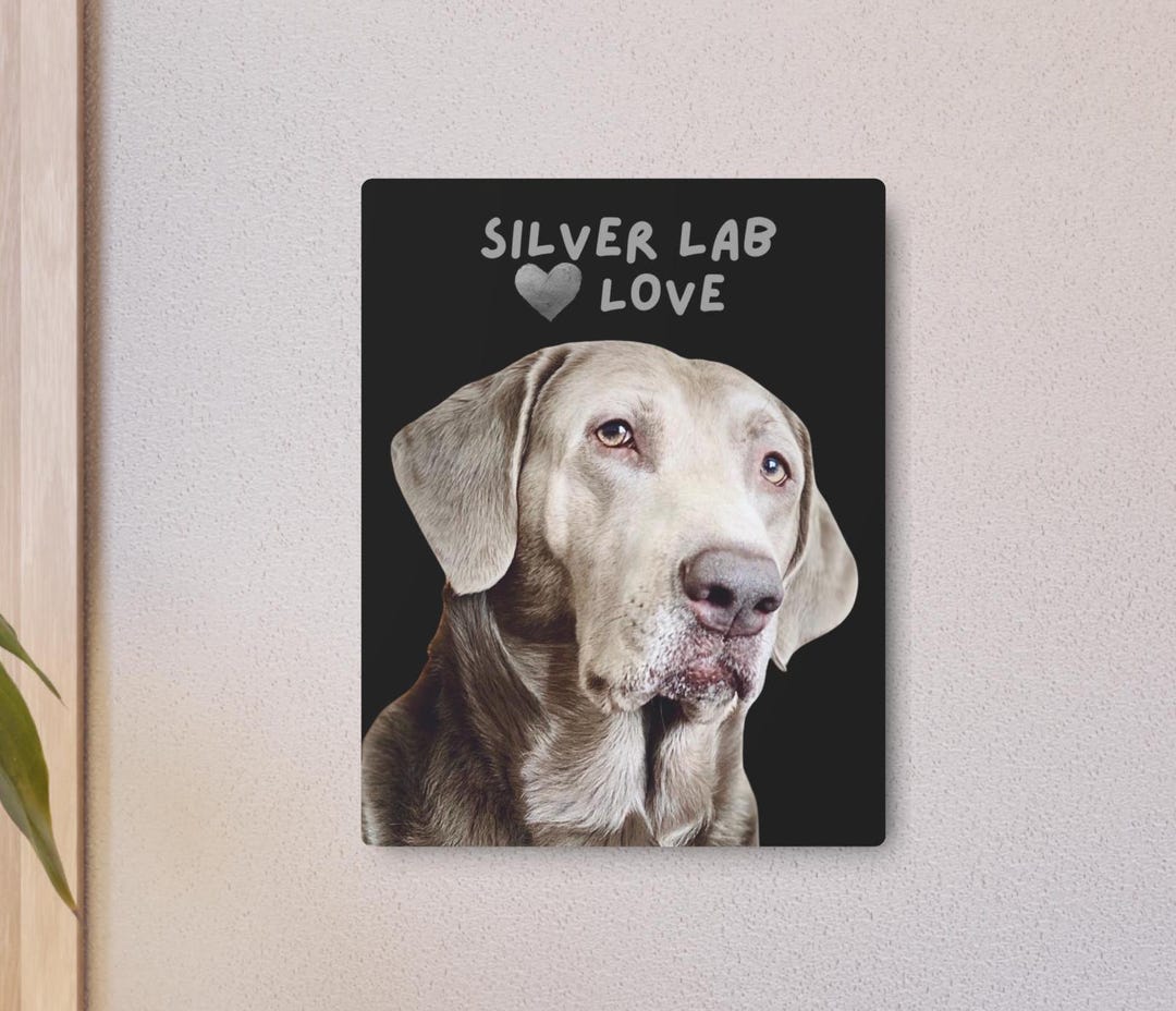 Silver Labrador Gift, Metal Art Sign, Labrador Wall Decor, Silver Lab ...