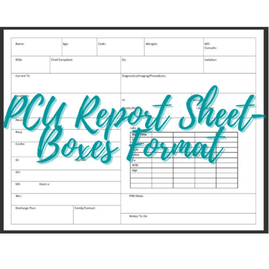 Simple Report Sheet for PCU With and Without Boxes - Etsy Canada