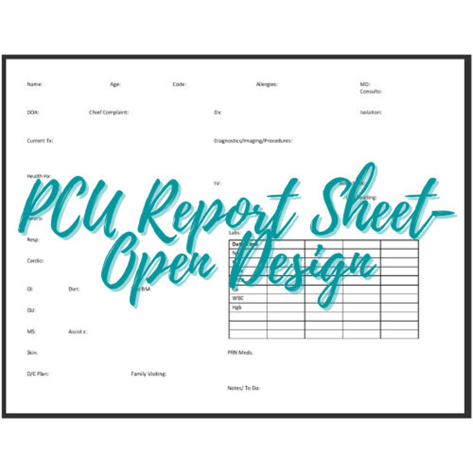 Simple Report Sheet for PCU With and Without Boxes - Etsy Canada