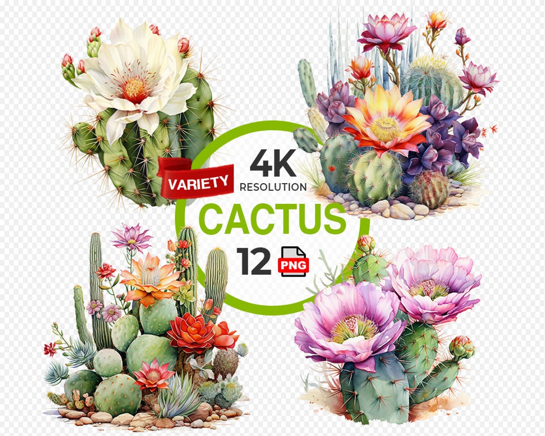 Desert Cactus Watercolor Clipart 4K High-quality PNG Transparent ...
