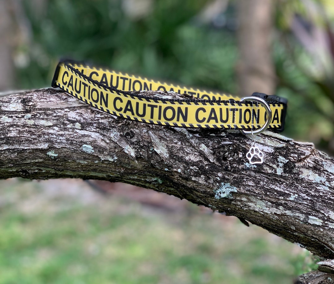Caution Dog Collar - Etsy