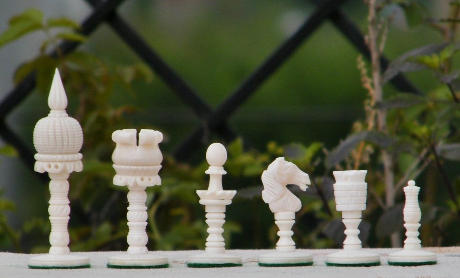 Camel bone chess set Dome king 3.5 hand carved unique | Etsy