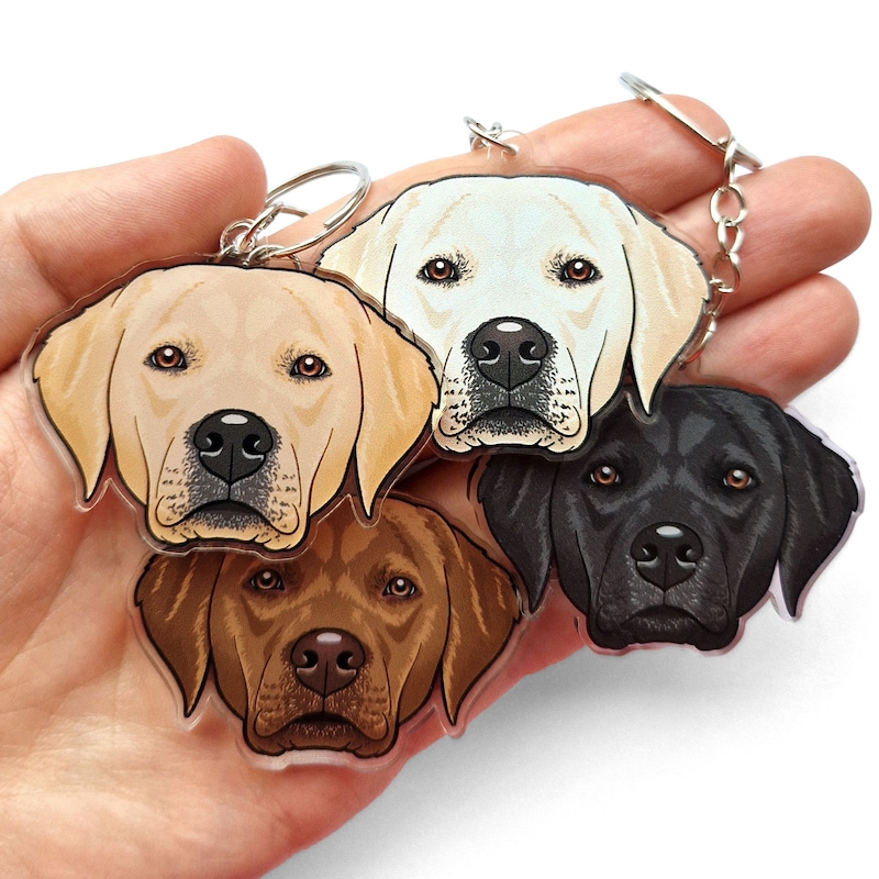 Chocolate Lab Collars - Etsy UK
