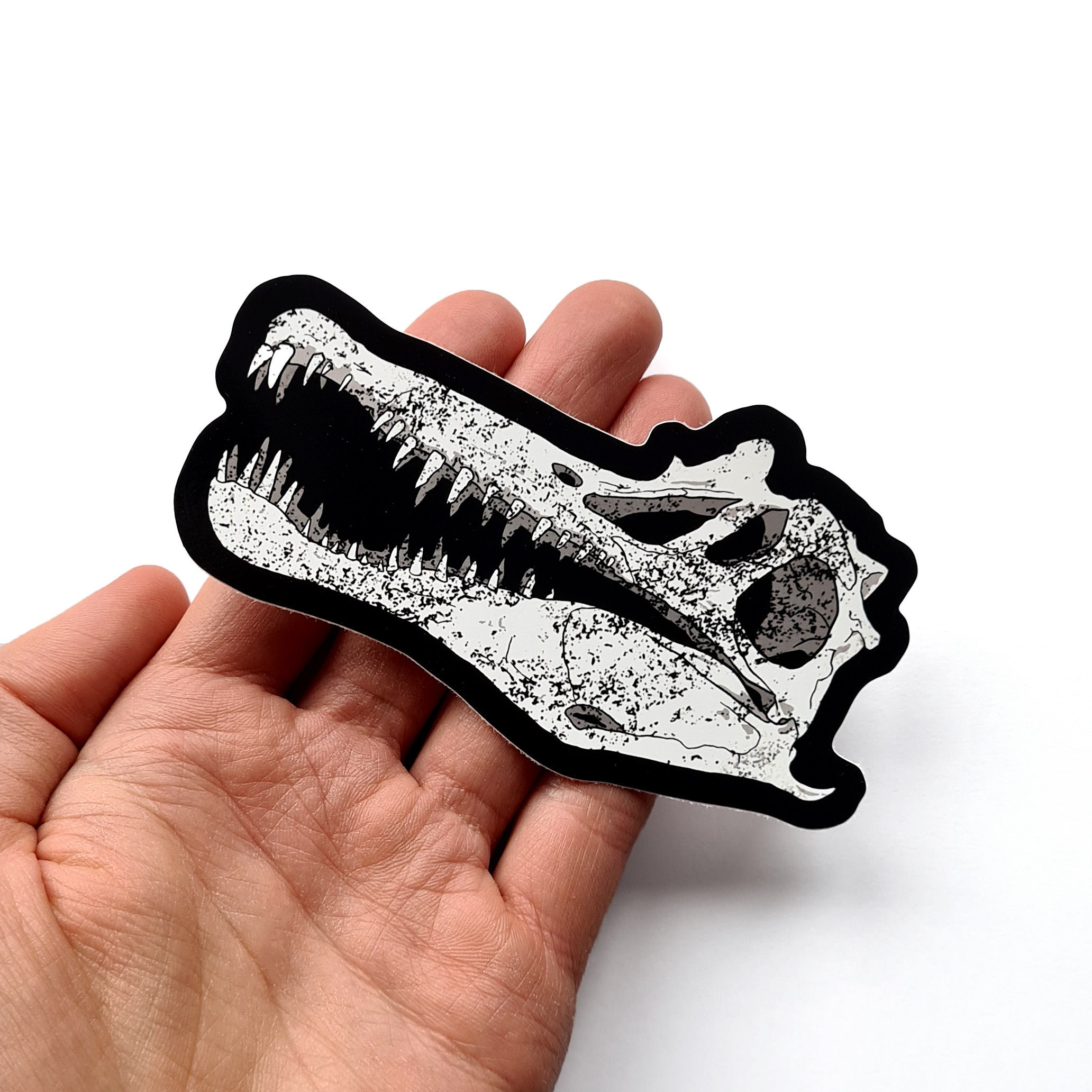 Dinosaur Skull Stickers CARNIVORES Glossy Decal | Etsy