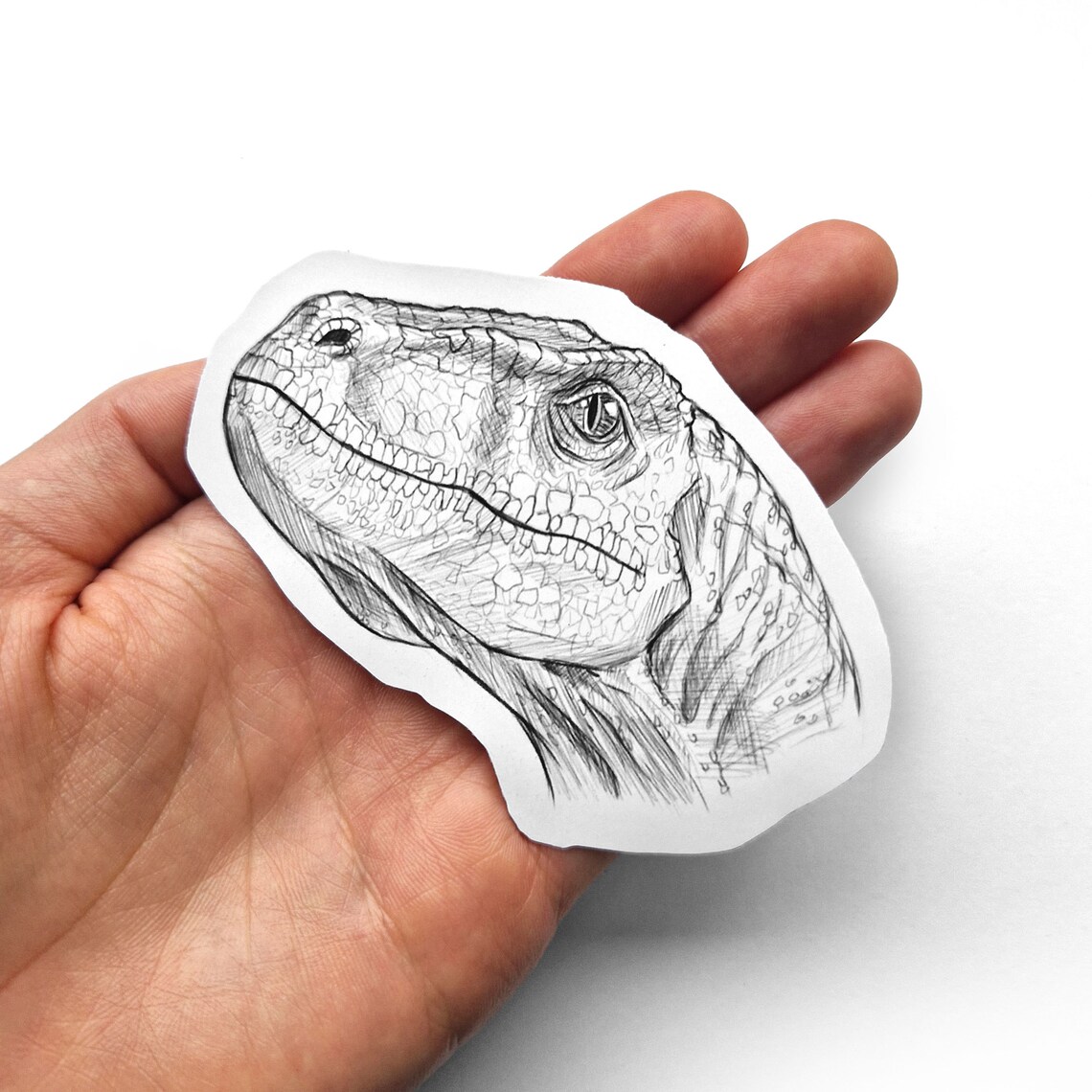 Dinosaur Stickers Traditional Art Sketch Decals T-rex Velociraptor ...