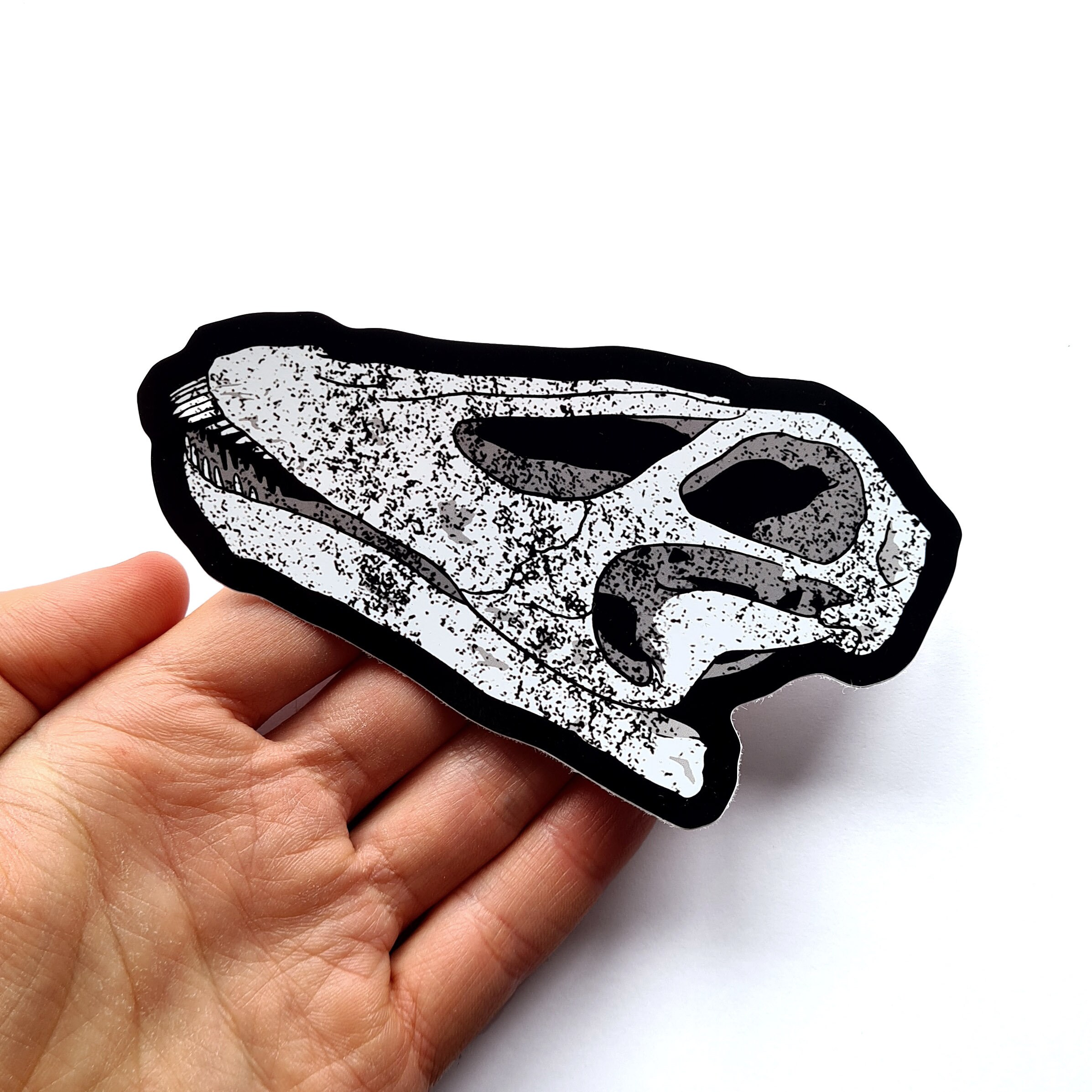 Dinosaur Skull Stickers HERBIVORES Glossy Decal - Etsy