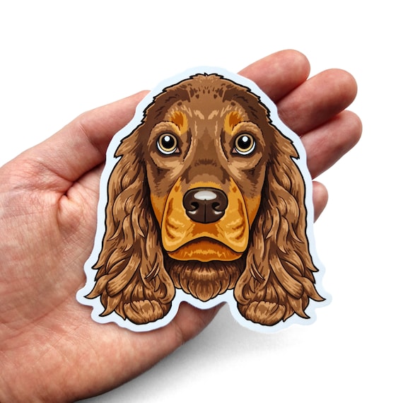 Black And Tan English Cocker Spaniel